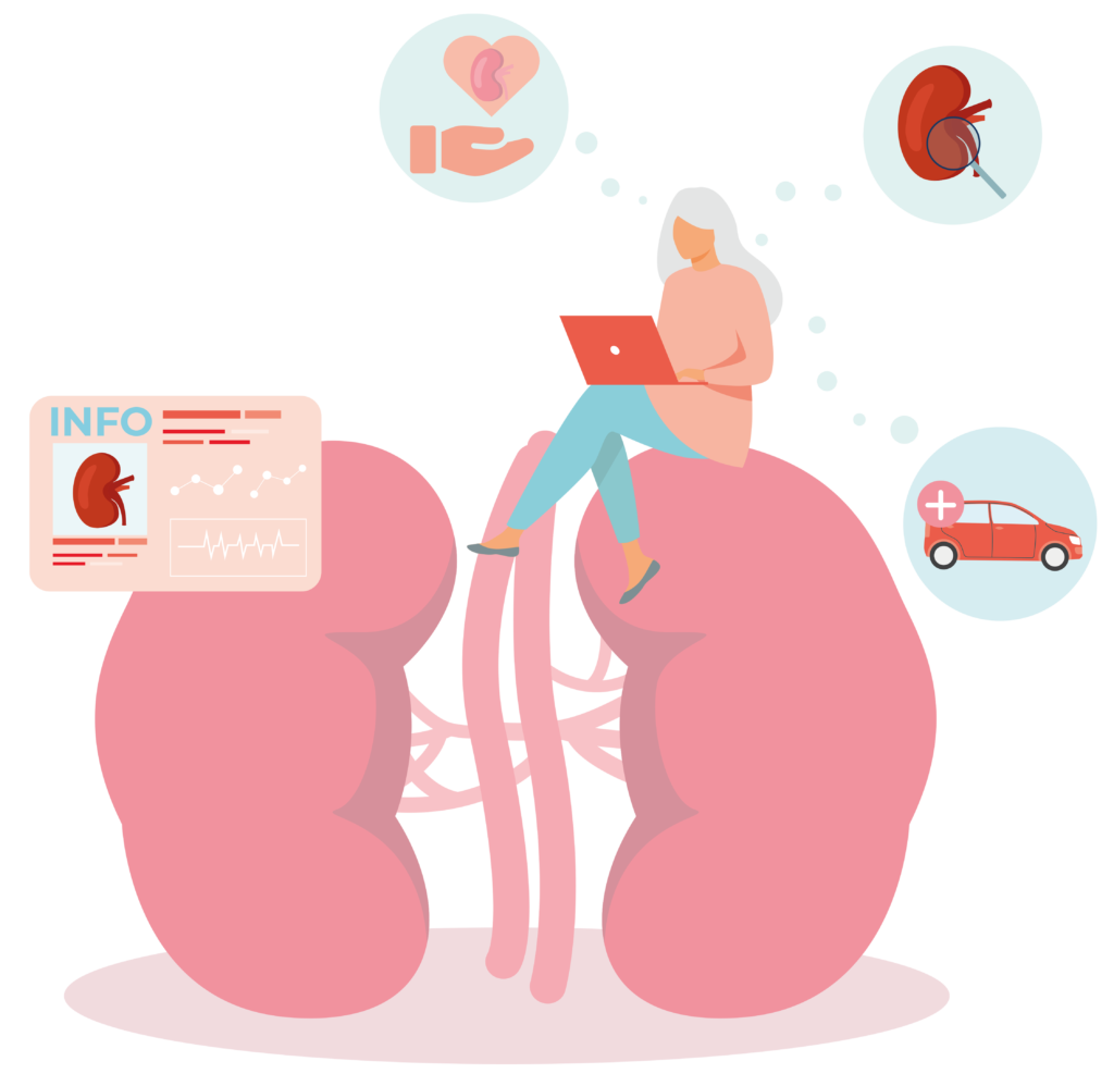 Qu’est ce que l’insuffisance rénale? – Info Rein Santé